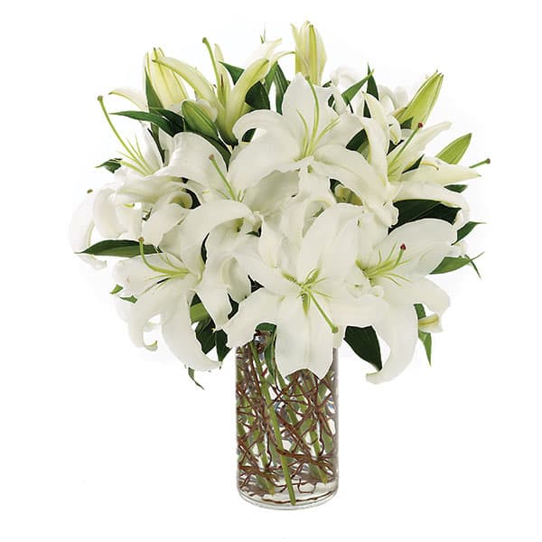 Best Hospital Florist Near Promedica Flower Hospital | Bedside Bouquets