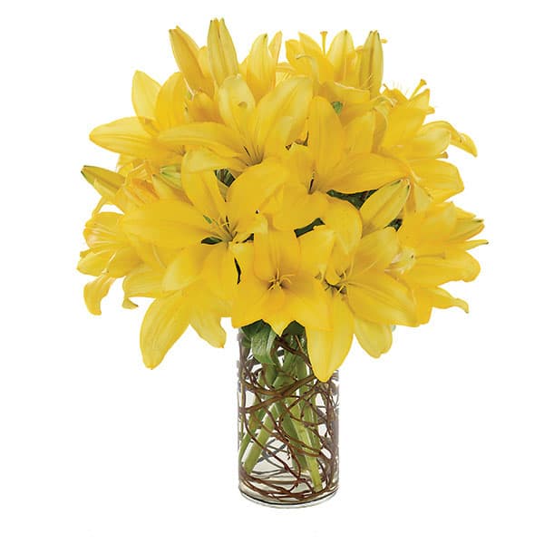 Best Hospital Florist Near Promedica Flower Hospital | Bedside Bouquets
